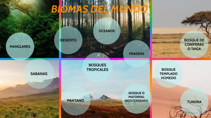 BIOMAS by Diana Jimenez on Prezi