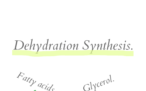 Dehydration Synthesis - Lipids by Isabel Aguilar on Prezi