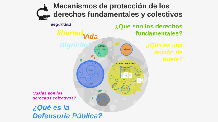 Mecanismos De Proteccion De Los Derechos Fundamentales Y Col By Natalia