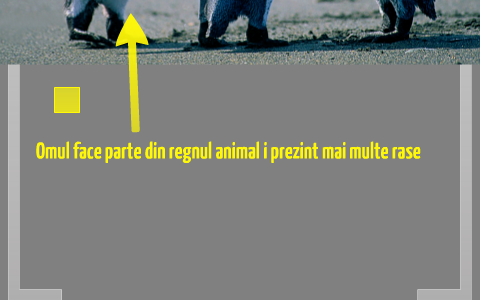 Rasele umane by Dinca Constantin on Prezi