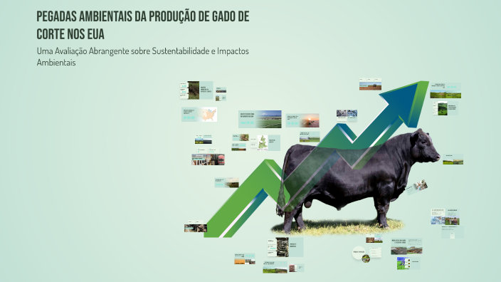 Pegadas Ambientais da Produção de Gado de Corte nos EUA by Polyanne ...