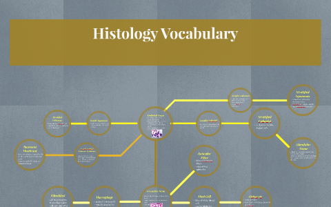 Histology Vocabulary by Erin Wexler on Prezi
