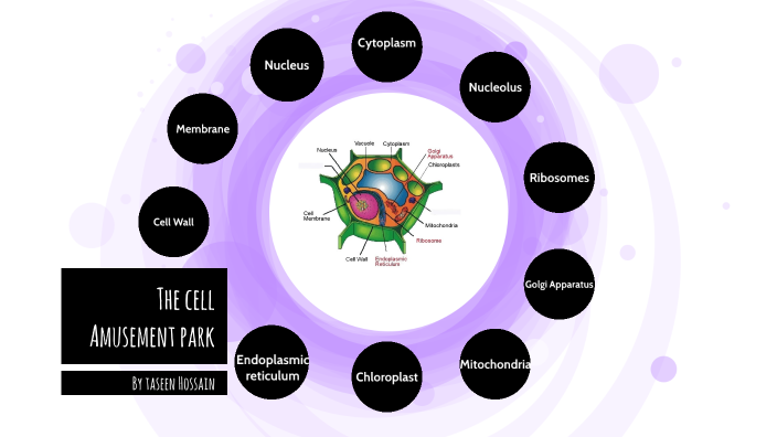 Cell Organelle Project by Taseen Hossain on Prezi