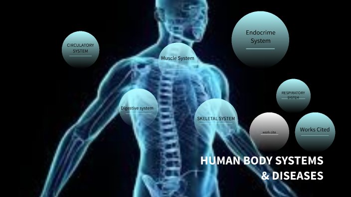 HUMAN BODY SYSTEMS & DISEASES by Glory Wood on Prezi