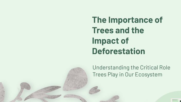 The Importance of Trees and the Impact of Deforestation by dylan hysell ...