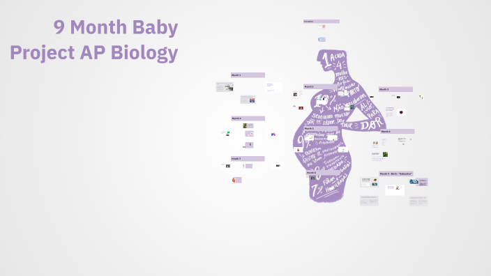 9 Month Baby Project AP Biology by Hudsen Auger on Prezi