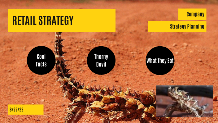 Thorny devil by Gunner Partridge on Prezi