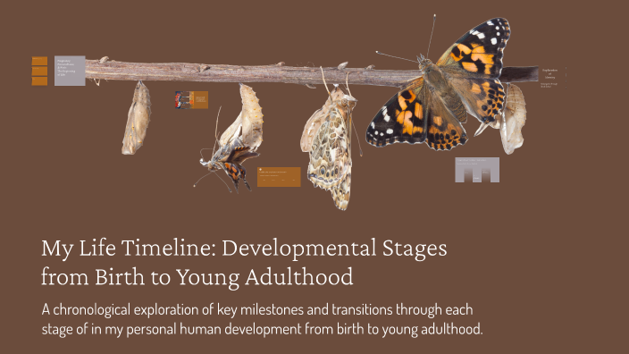 Life Timeline: Markers of Developmental Stages by sheridan young on Prezi