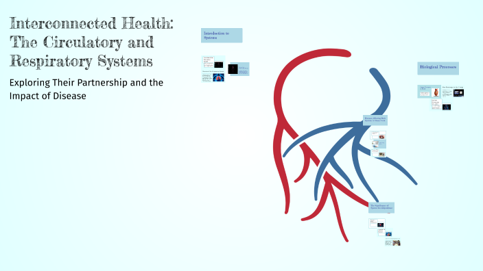 Interconnected Health: The Circulatory and Respiratory Systems by ...