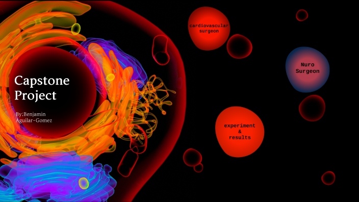 Capstone project by Benjamin Aguilar-Gomez on Prezi