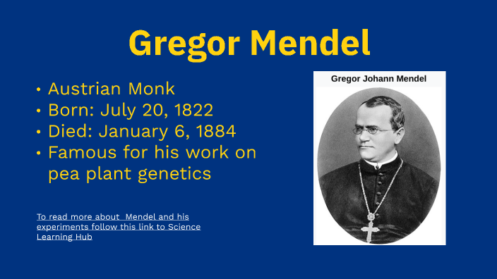 Mendel's Laws by Chauca Moore on Prezi