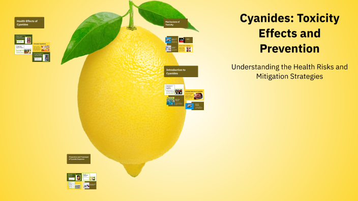 Cyanides: Toxicity Effects and Prevention by Teju Suresh on Prezi