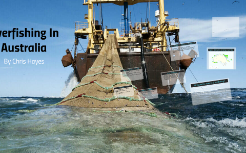 Overfishing In Australia by Chris Hayes on Prezi