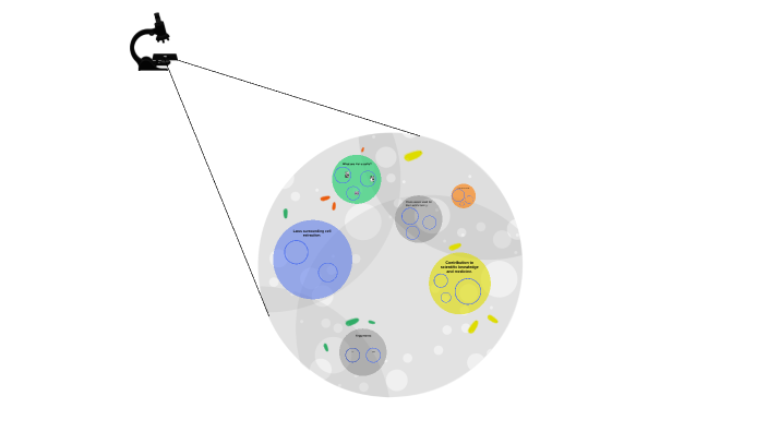 HeLa Cells by Hannah Roe on Prezi