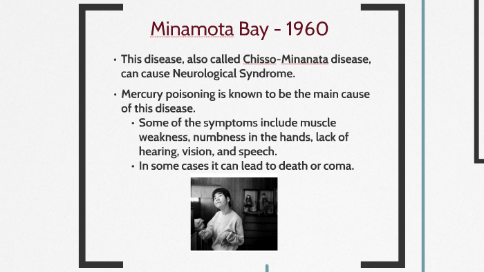 Environmental movement timeline by Tyler Figueroa on Prezi