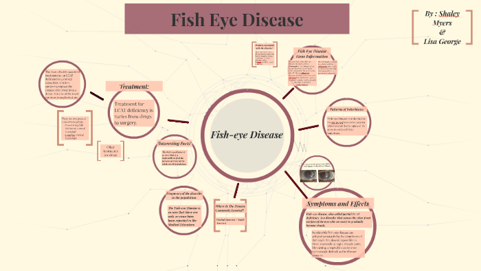 Fish-eye Disease by Lisa George on Prezi