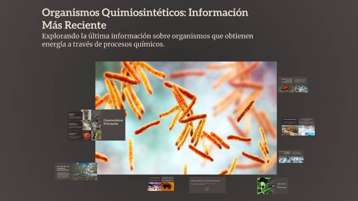 Organismos Quimiosintéticos: Información Más Reciente by González ...