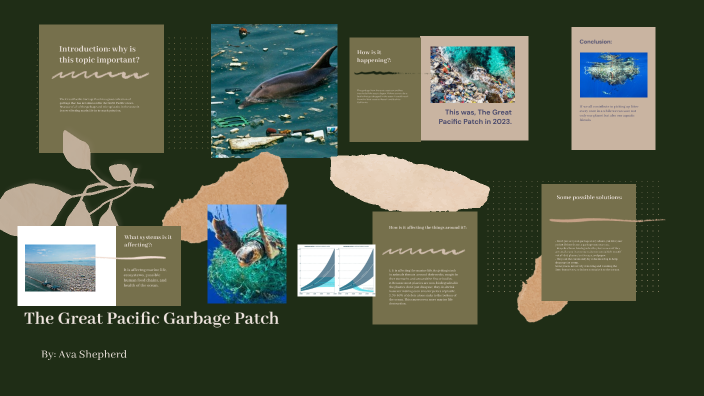 Human Impact Project 2025 A.S.M.S by Ava Shepherd on Prezi