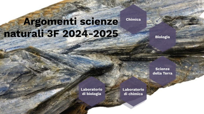 3F 2024-2025 by Serena Borgatello on Prezi