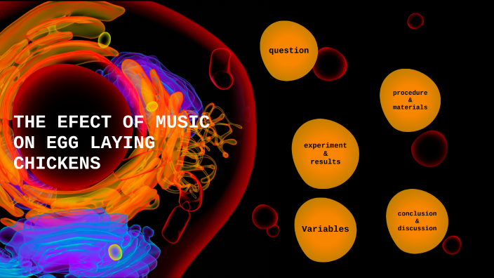 Chicken science project by Hilary Worgess on Prezi