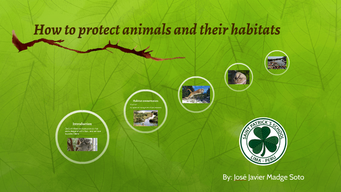 How to protect animals and their habitats by Jose Javier Madge Soto on ...