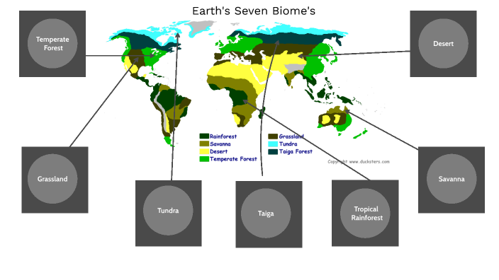 Earth's Seven Biome's by _tortoise _ on Prezi