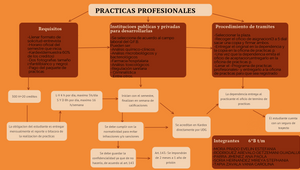 Mapa Conceptual Prácticas Profesionales by Evelin Mora Prado on Prezi ...