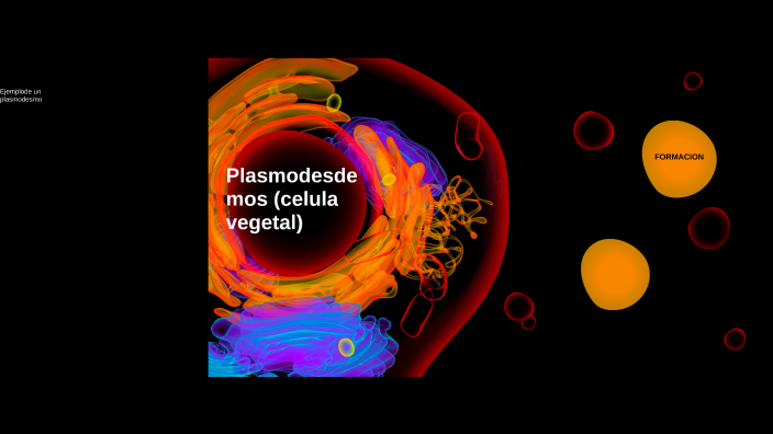 Plasmodesmos (celula vegetal) by Edgar Ivan Yescas Santillán on Prezi