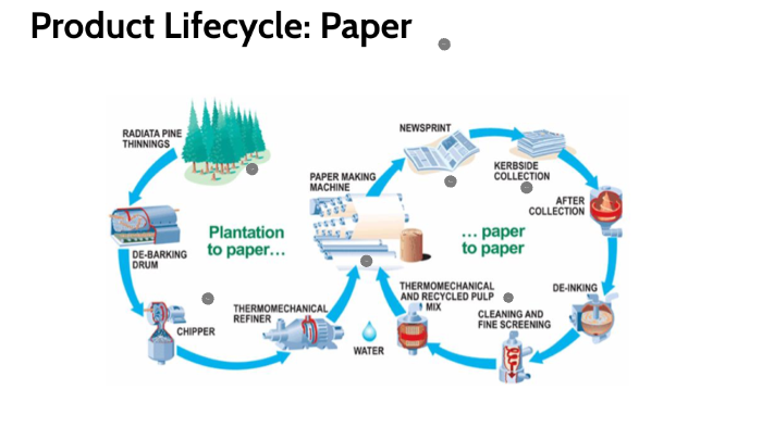 Product Lifecycle: Paper by Kaitlin Geraghty on Prezi
