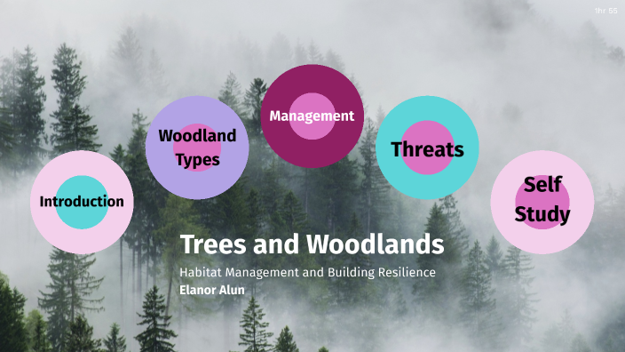 Tree and Woodland Ecology by Elanor Alun on Prezi