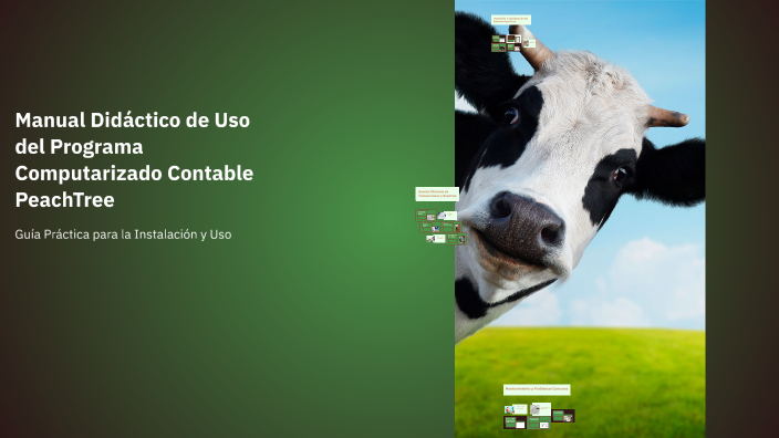 Manual Didáctico de Uso del Programa Computarizado Contable PeachTree ...