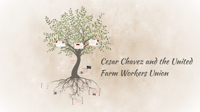 Cesar Chavez and the United Farm Workers by Francois Khan on Prezi