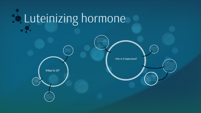 Luteinizing hormone by kayla hutson on Prezi