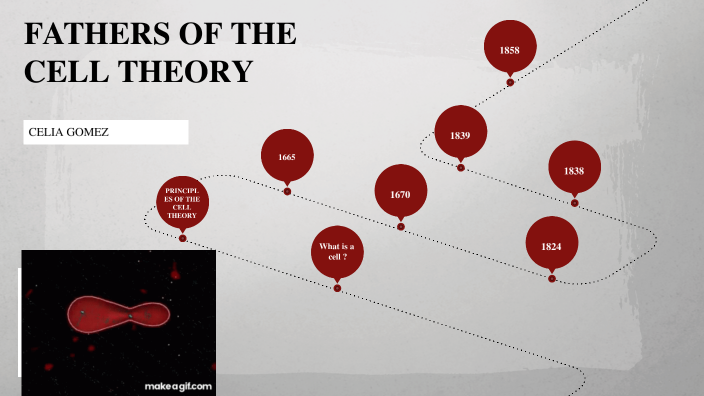 FATHERS OF THE CELL THEORY by Celia Gomez on Prezi