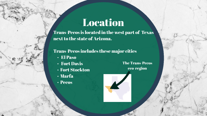 Trans-Pecos Texas Ecoregion by Mikenna Marr on Prezi