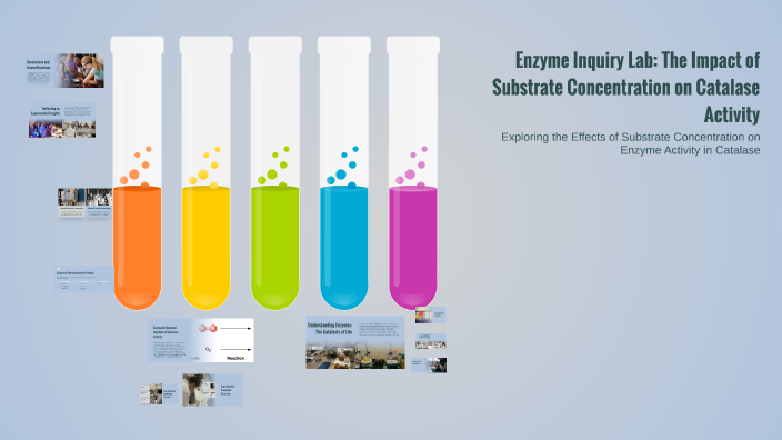 Enzyme Inquiry Lab: The Impact of Substrate Concentration on Catalase ...