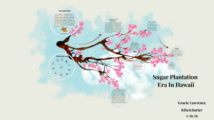 Sugar Plantation Era In Hawaii by Gracie Lawrence on Prezi