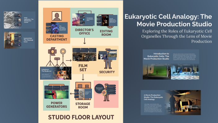 Movie Production Studio Cell Analogy Project by Daniel Wu on Prezi