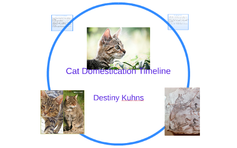 Animal Domestication Timeline by Destiny Kuhns