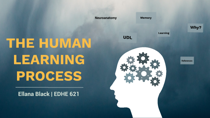 Human Learning Process by Ellana Black on Prezi