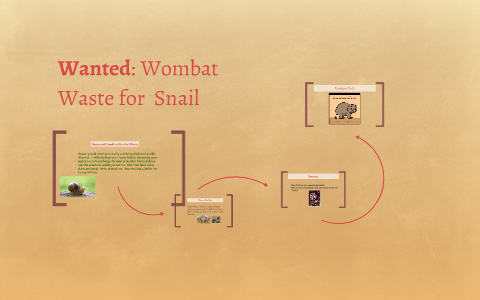 Wanted: Wombat Waste for Male Snail by Kaycey Hall on Prezi