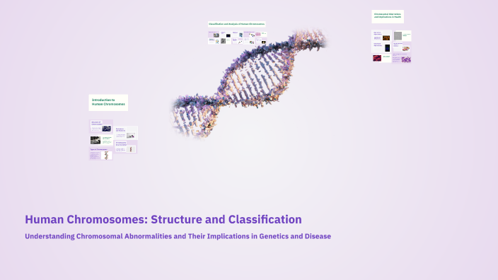 Human Chromosomes: Structure and Classification by Kiruthiga ...
