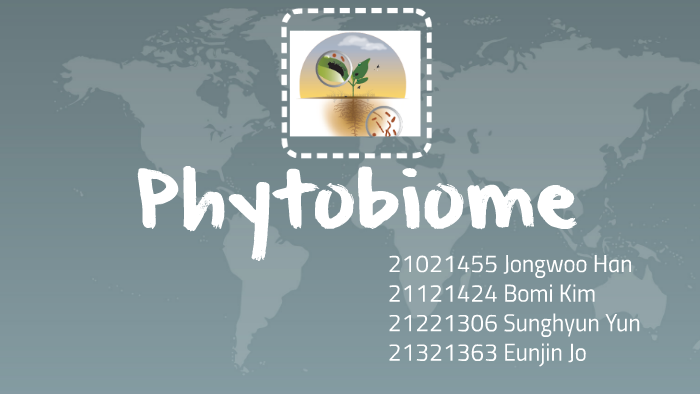 Phytobiome by Eunjin Cho on Prezi