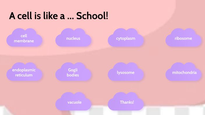 A cell is like a ... School! by Irene Barrios on Prezi