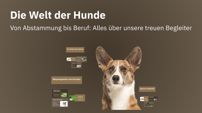 Die Welt der Hunde by Nicole Flohr on Prezi