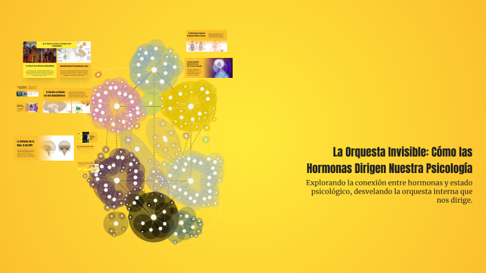 La Orquesta Invisible: Cómo las Hormonas Dirigen Nuestra Psicología by ...