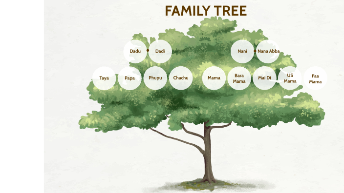 family tree by Zaynab Mahmood on Prezi