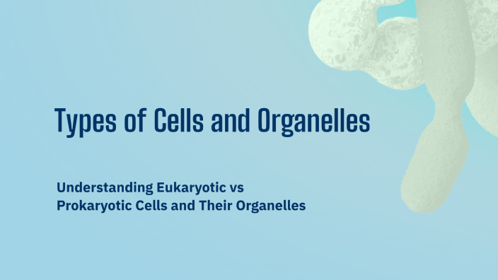 Types of Cells and Organelles by Alexis Corzine on Prezi