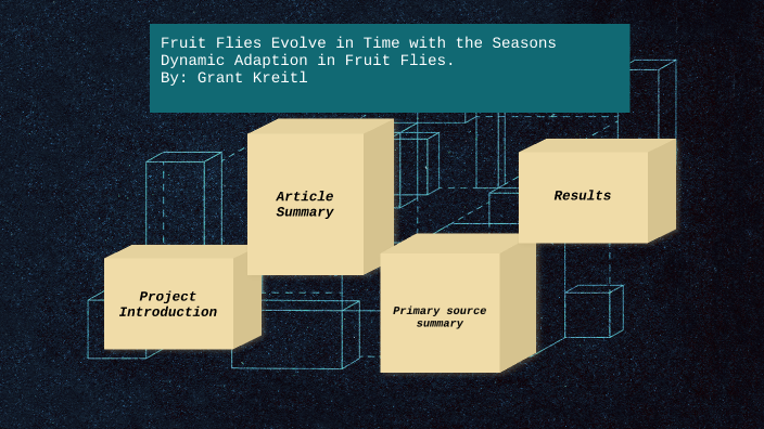 Fruit Fly Evolution by Grant Kreitl on Prezi