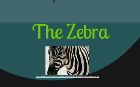 Zebra Presentation with Bibliography by kimberly miranda on Prezi